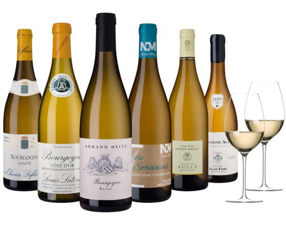 Bourgogne Collection "Tradition vs Moderne II" 6 Fl. und Zwiesel Grand ...